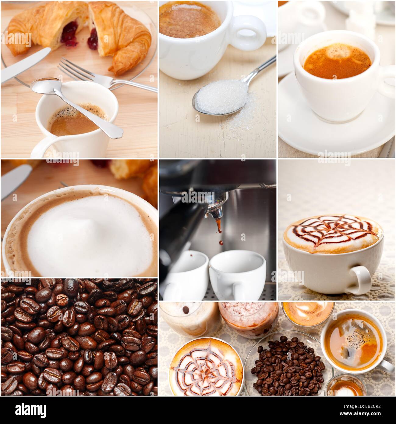selection of different coffee type on collage composition nested white ...