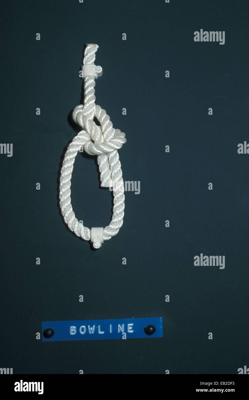 A bowline knot Stock Photo - Alamy