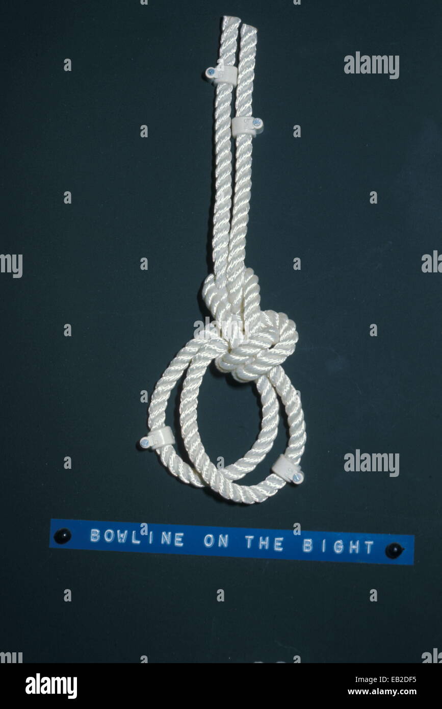 A bowline on the bight knot Stock Photo - Alamy