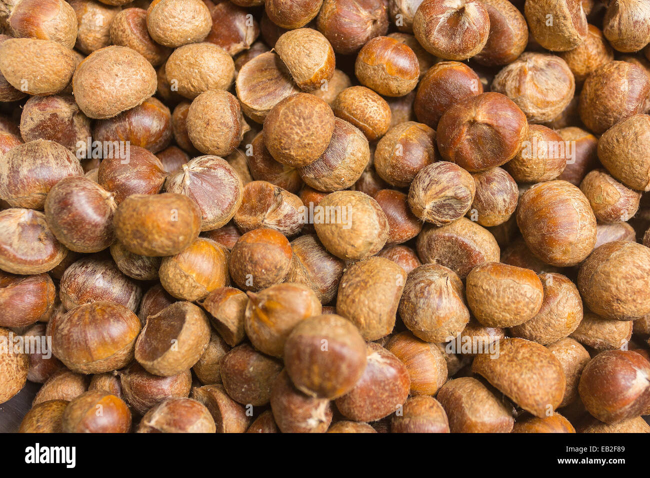 Native raw chestnut in thailand Stock Photo - Alamy