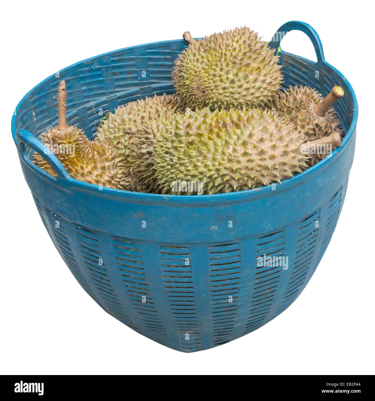 Durian in basket isolated on white background with clipping path Stock ...