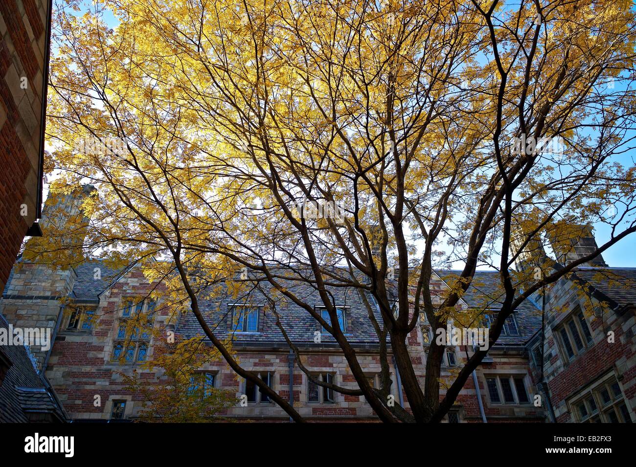 Buildings yale university hi-res stock photography and images - Alamy