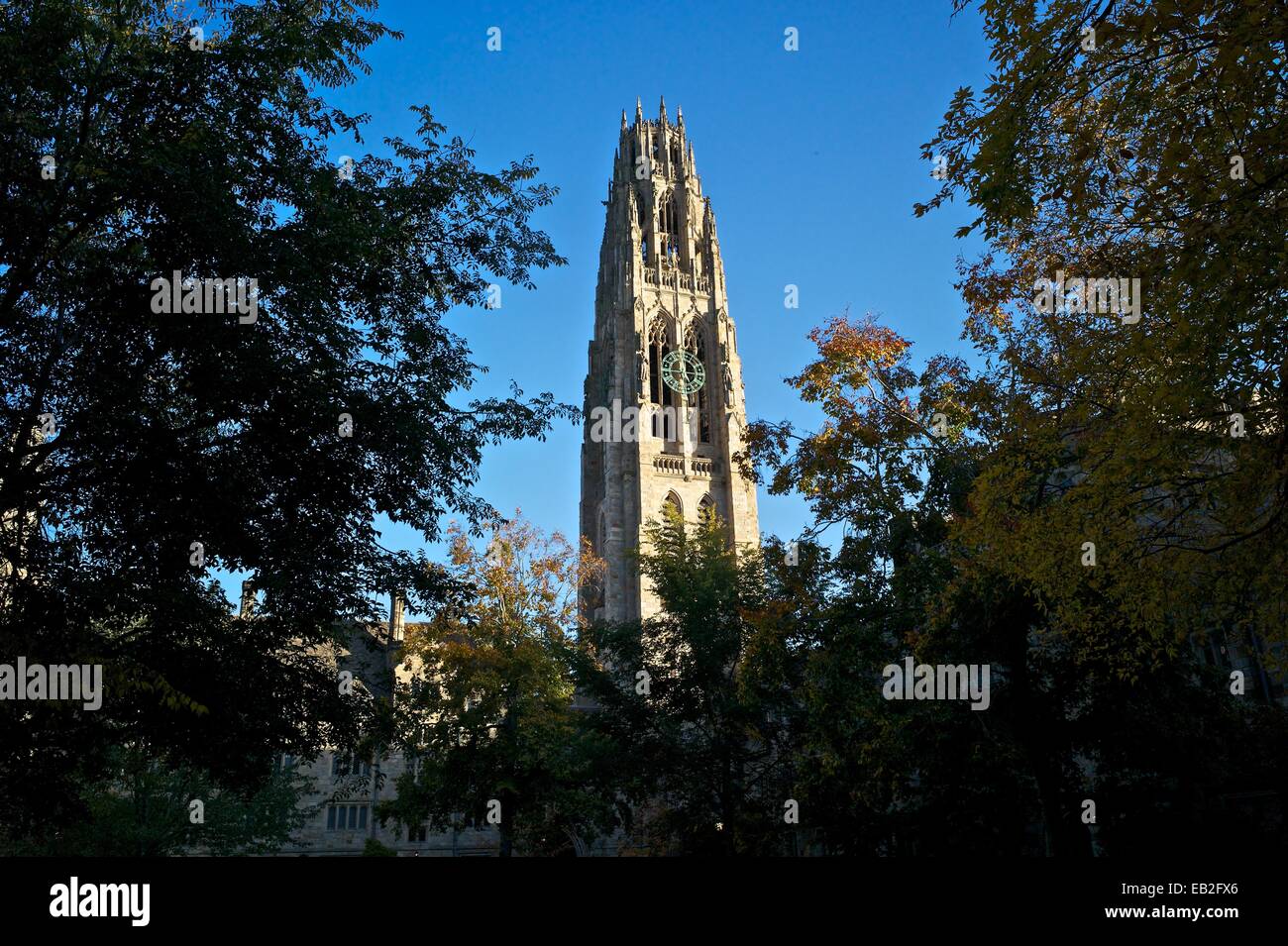 Usa connecticut new haven autumn hi-res stock photography and images ...
