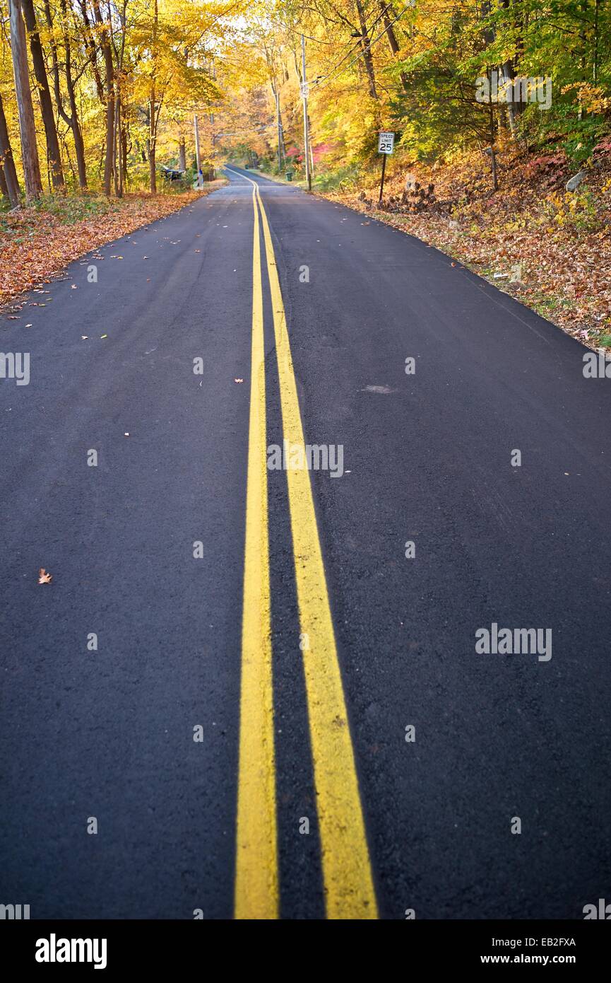Trees with colorful fall foliage line a country road Stock Photo - Alamy
