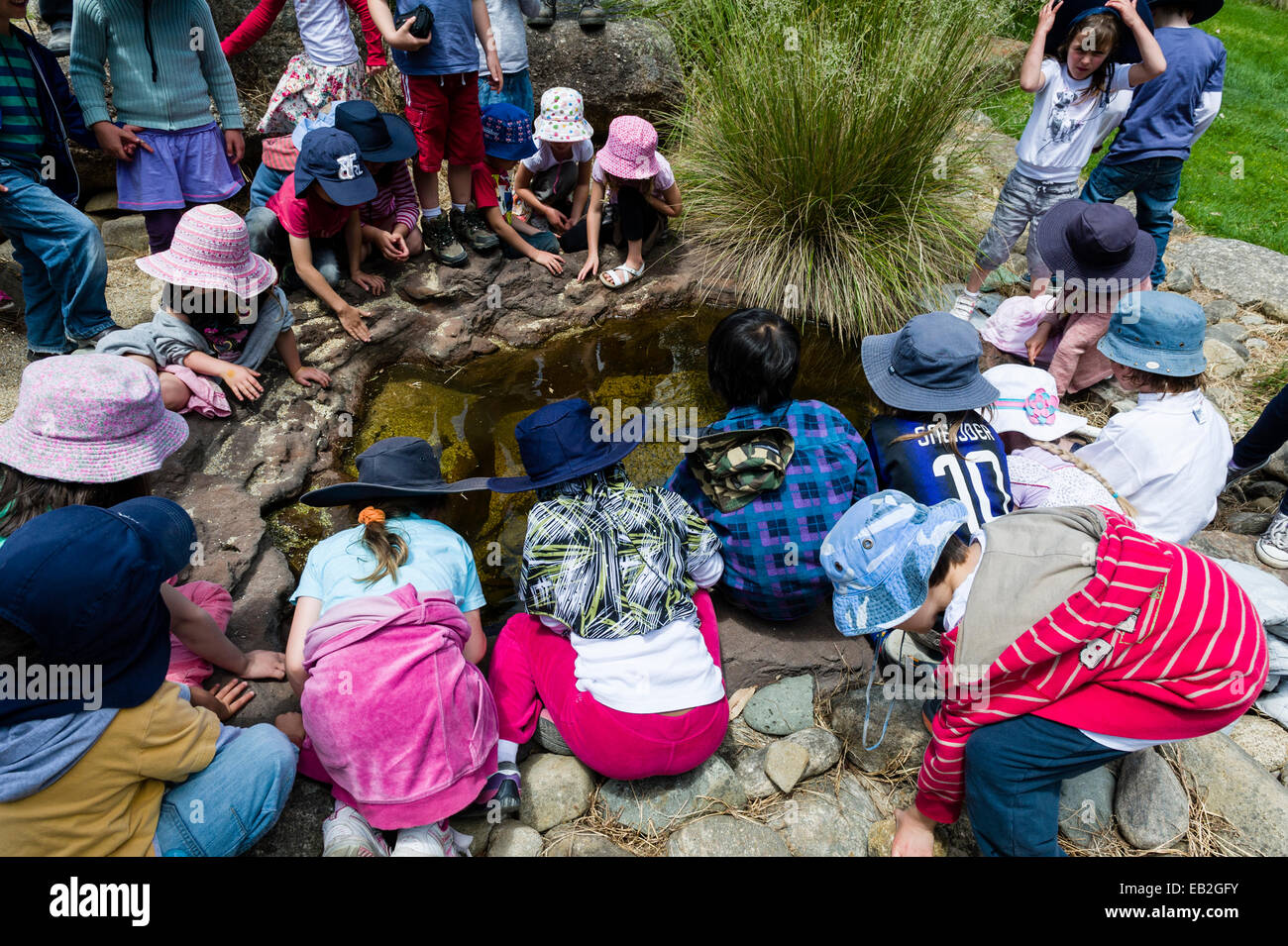 Children school trip zoo hi-res stock photography and images - Alamy