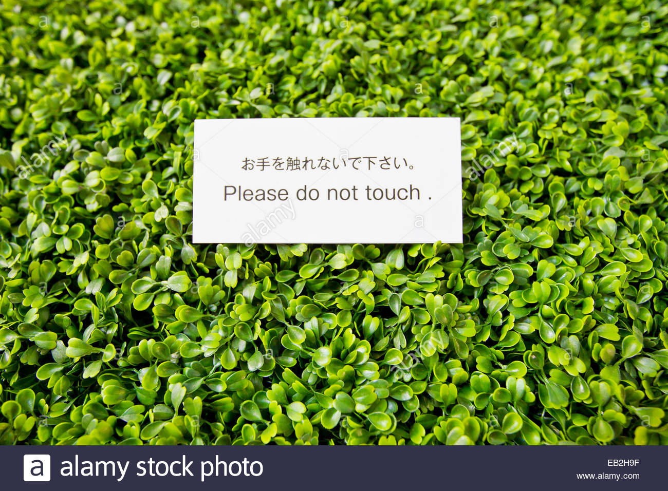 Please Not Feed Plants Sign Stock Photos & Please Not Feed Plants Sign ...