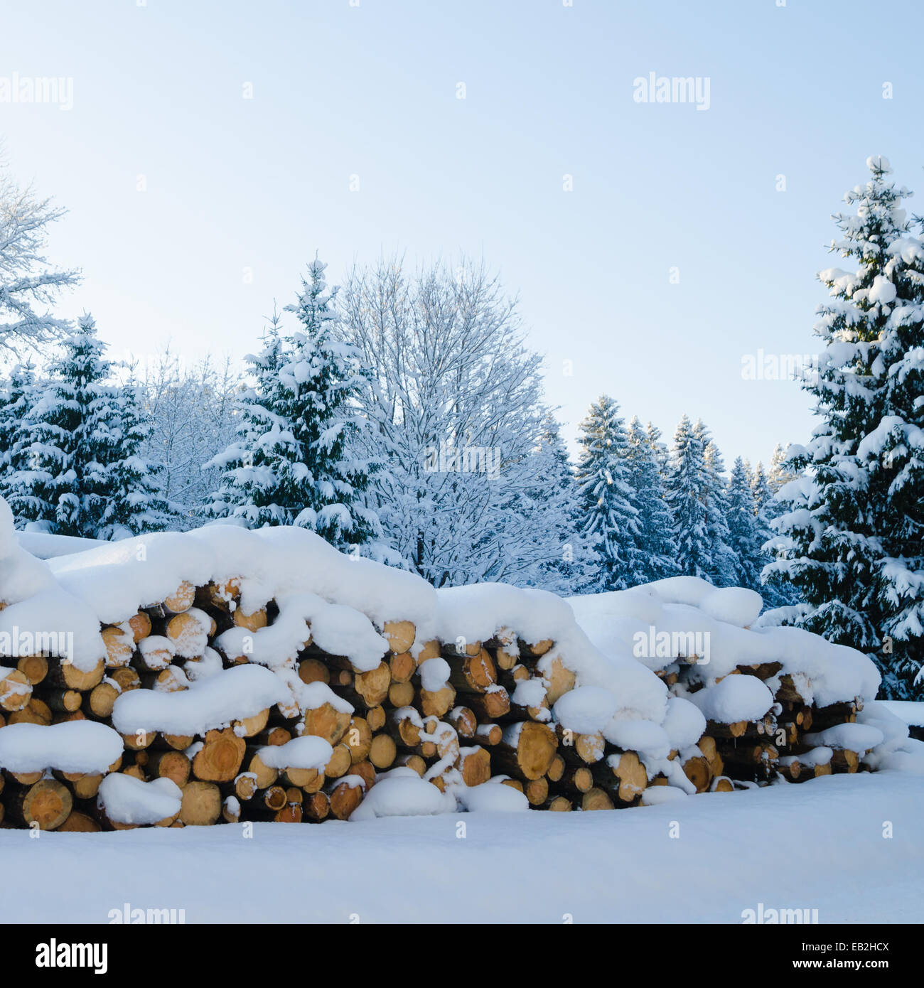 Rural winter landscape snowdrifts hi-res stock photography and images ...