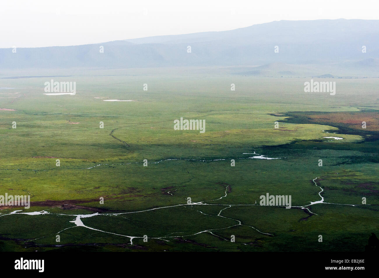 The lush savannah plain crossed by streams in an extinct volcano ...