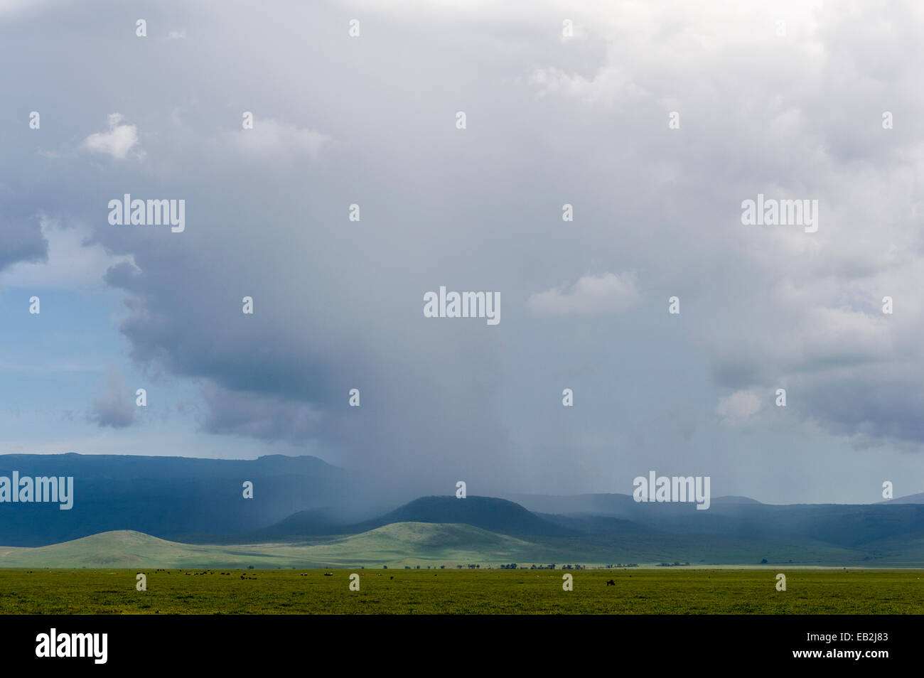 A rain storm descends over low rolling hills on a volcano caldera wall ...