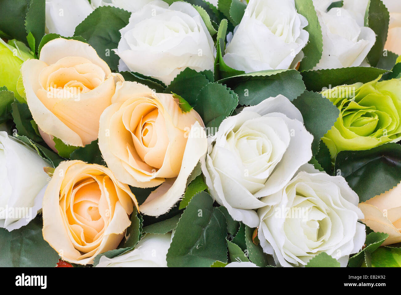 Background rose flowers Stock Photo - Alamy