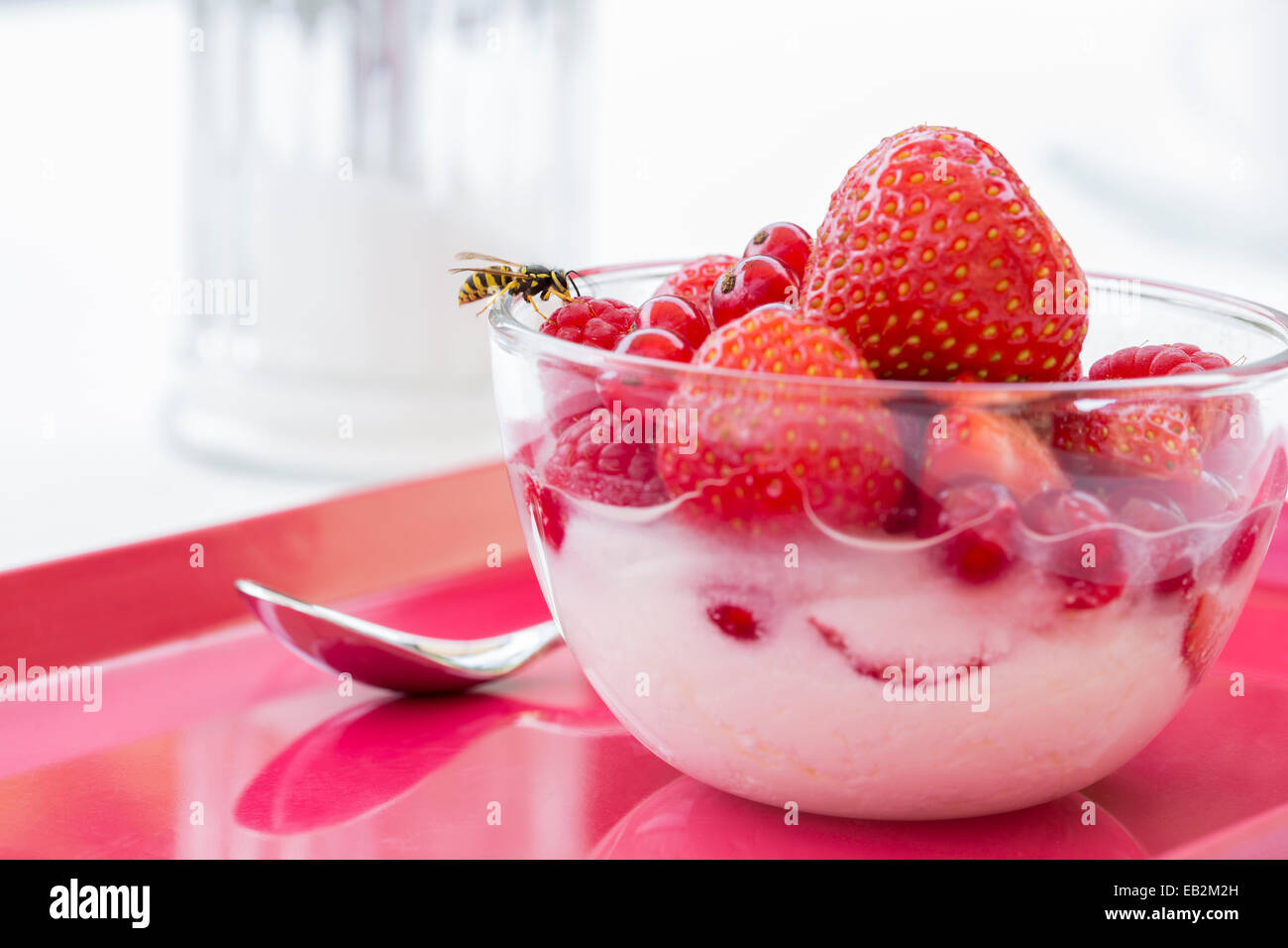 Insect ice cream hi-res stock photography and images - Alamy