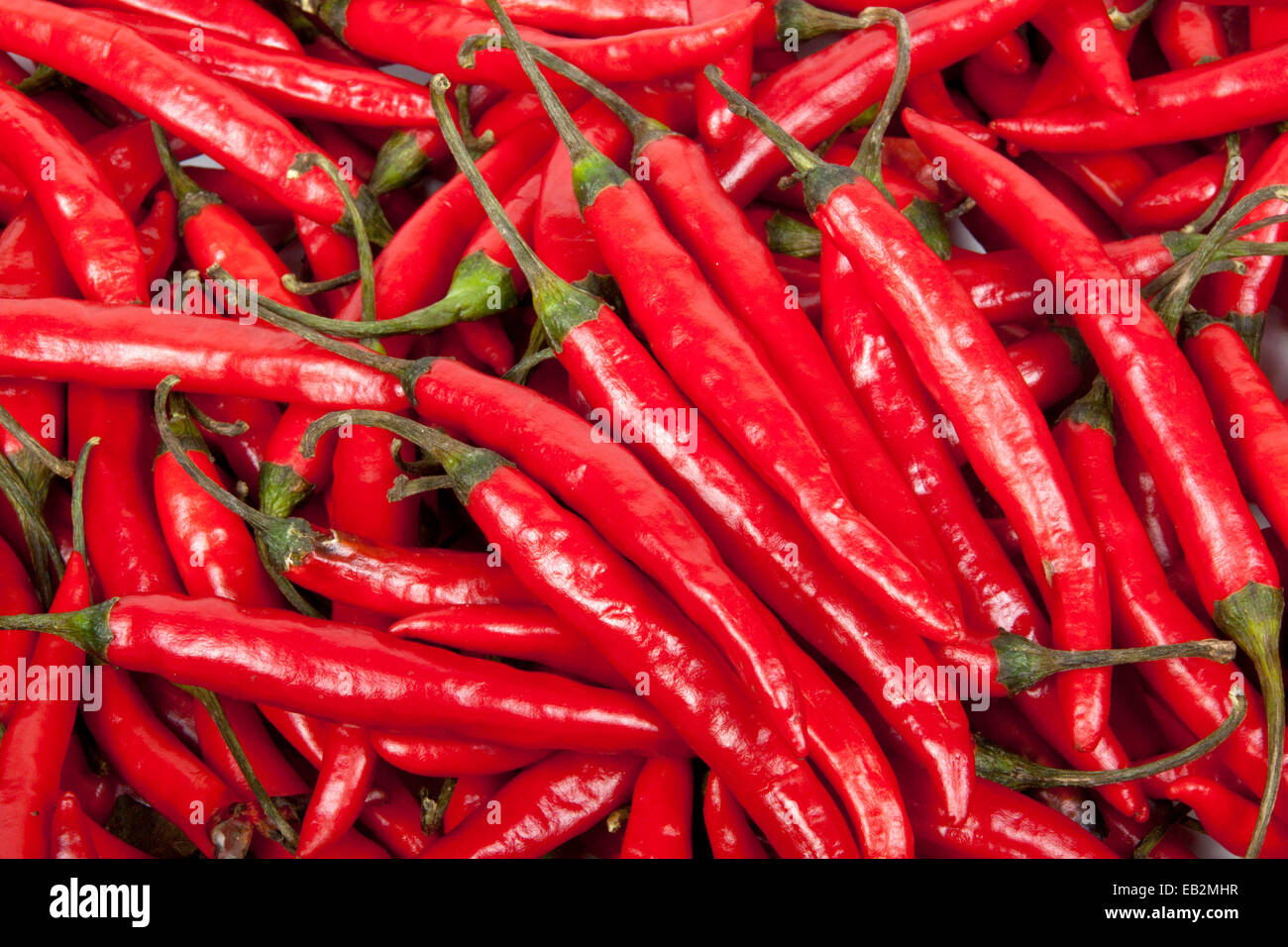 closeup collection of bright shiny red chillies Stock Photo - Alamy