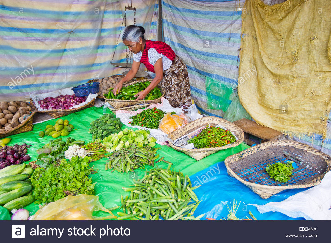 Indian Vegetables Stock Photos & Indian Vegetables Stock Images - Alamy