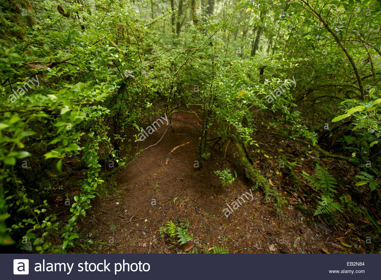 Huon Peninsula Stock Photos & Huon Peninsula Stock Images - Alamy