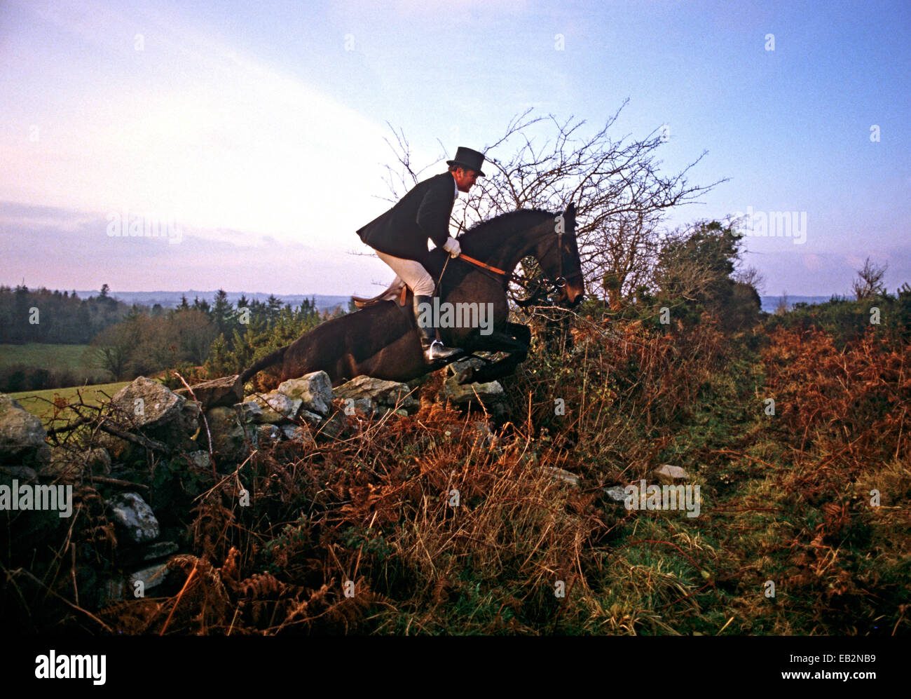 FOX HUNTER JUMPING STONE WALL IN COUNTY KILKENNY HUNT, IRELAND Stock ...