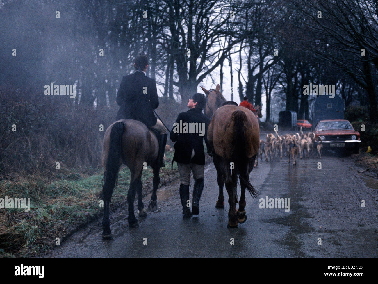 FOX HUNTERS WITH HOUNDS IN COUNTY KILKENNY HUNT, IRELAND Stock Photo ...