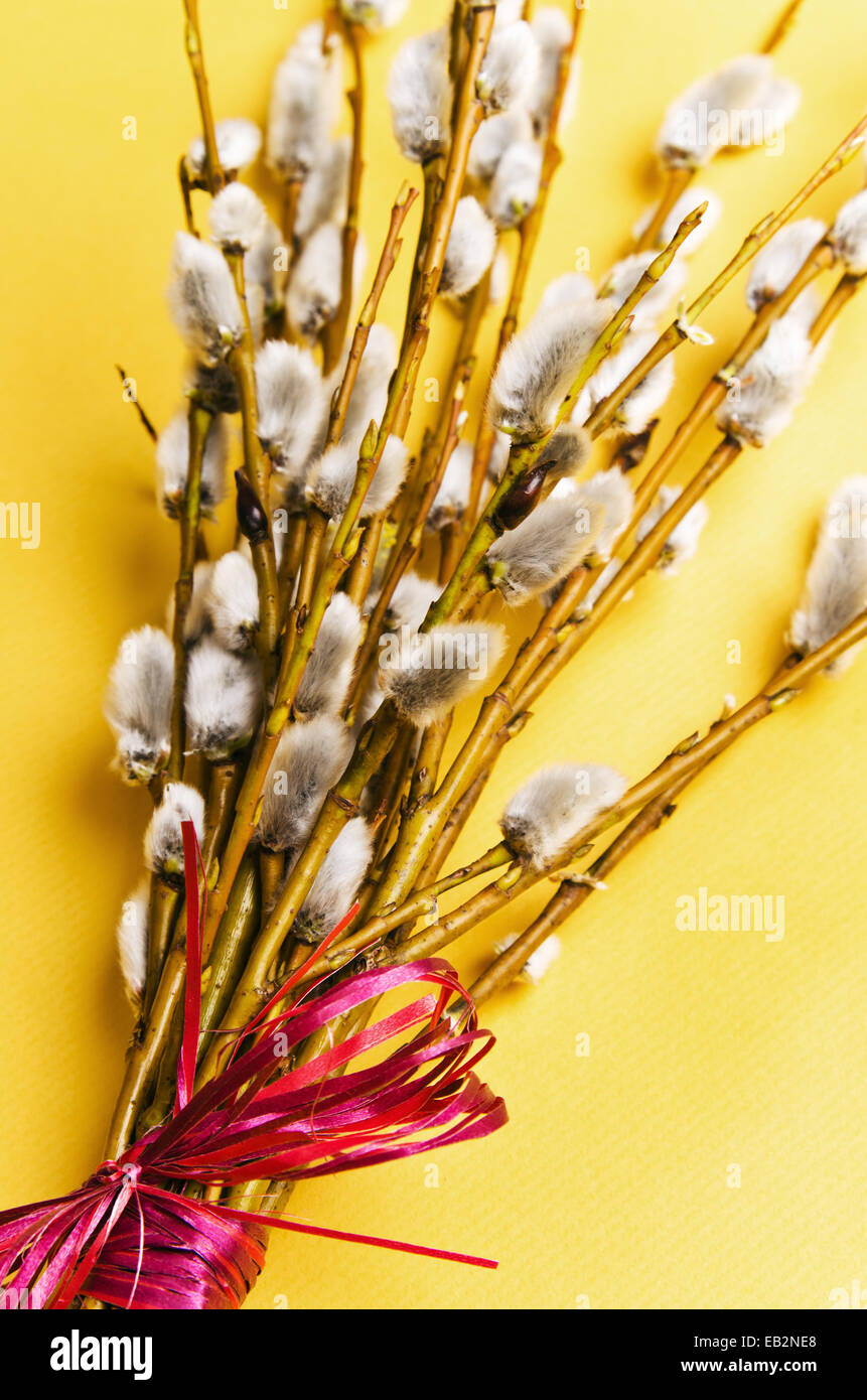 bunch of willow branches Stock Photo - Alamy