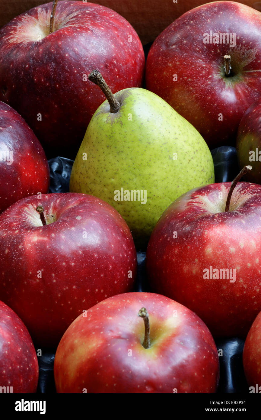 Pear amidst red Jonagored apples Stock Photo - Alamy