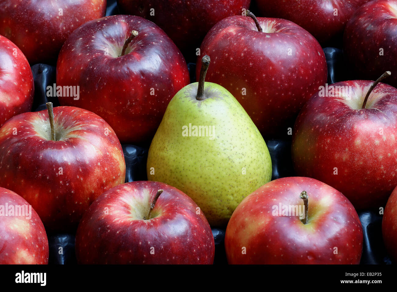 Pear amidst red Jonagored apples Stock Photo - Alamy
