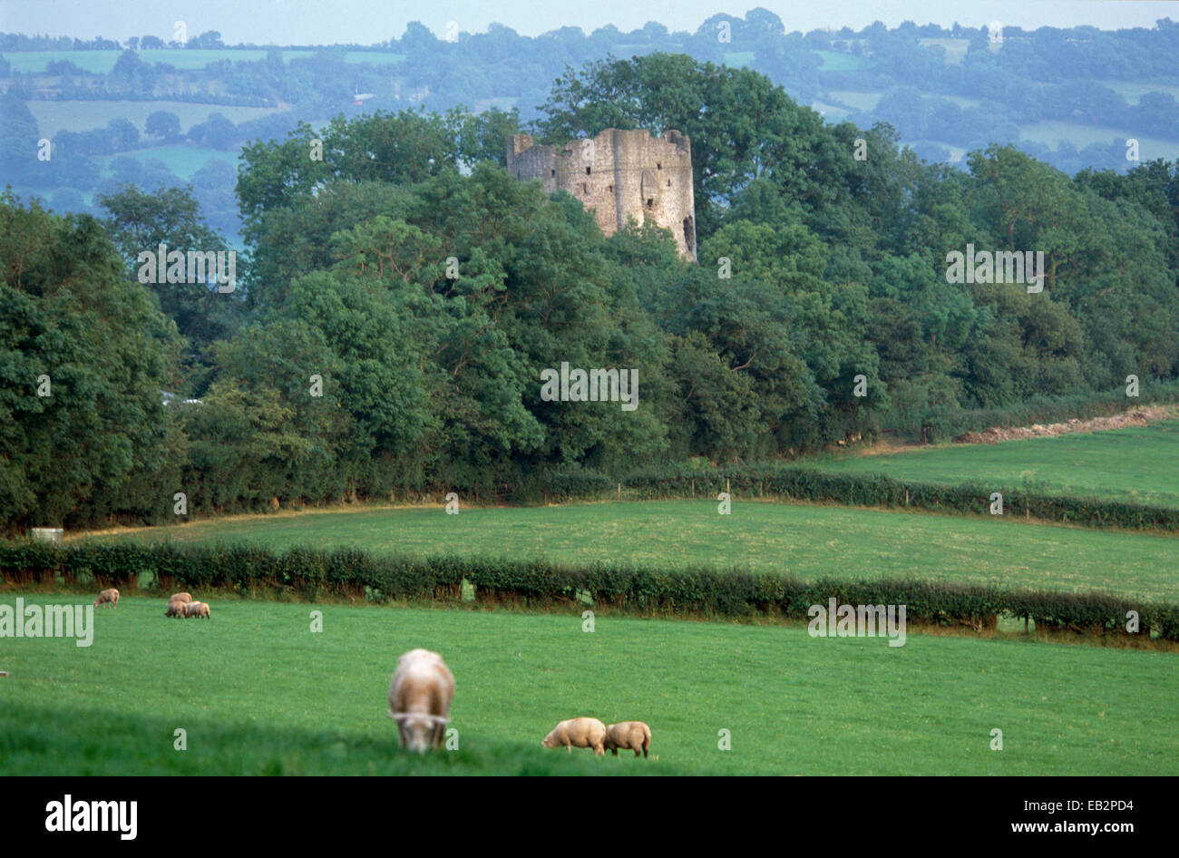 Medieval earthwork castle hi-res stock photography and images - Alamy