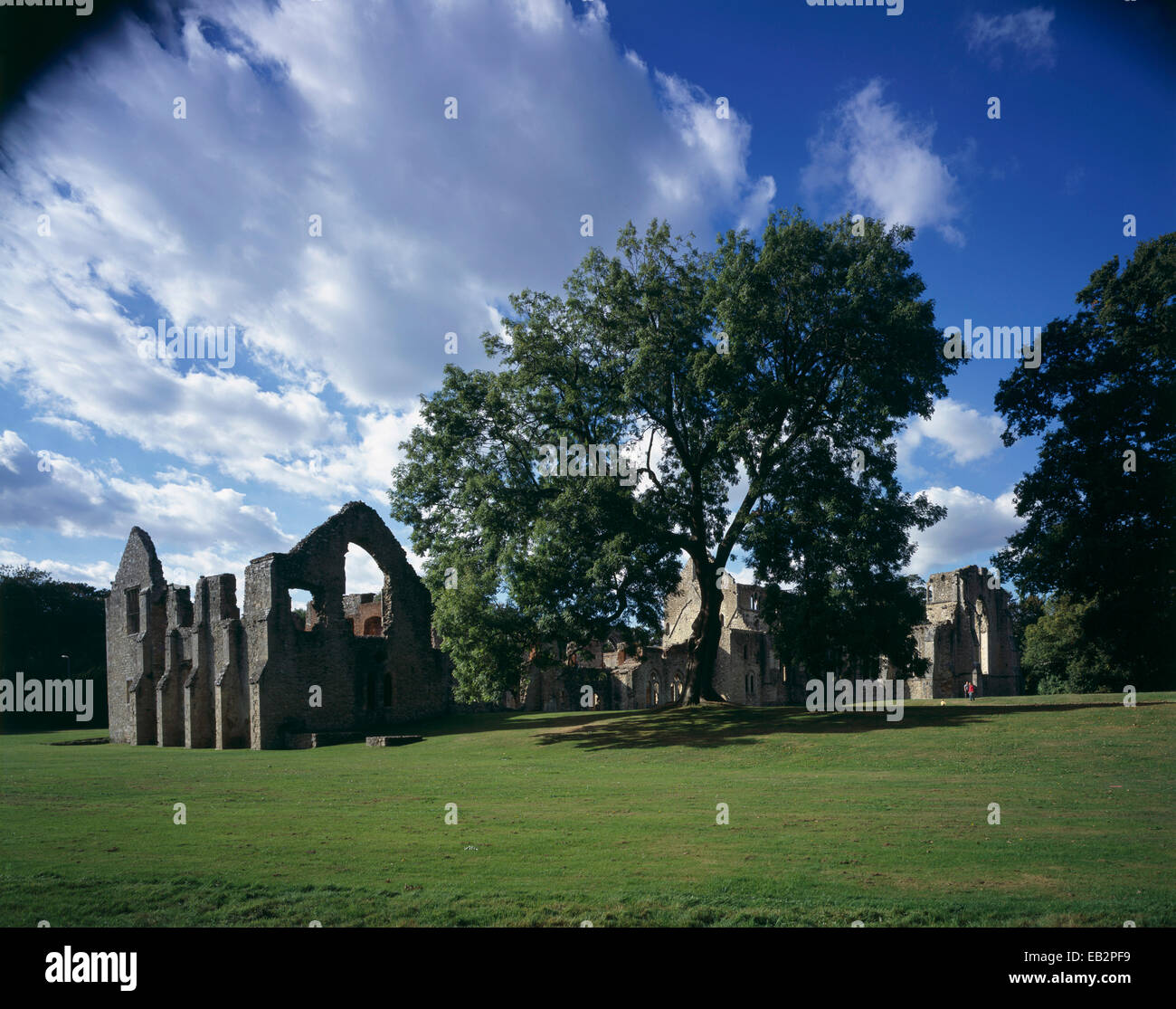 View from the South East, Netley Abbey, Hampshire, UK Stock Photo - Alamy
