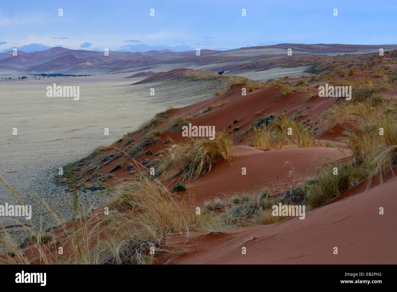 Desert landscape, Namib, Hardap Region, Namibia Stock Photo - Alamy
