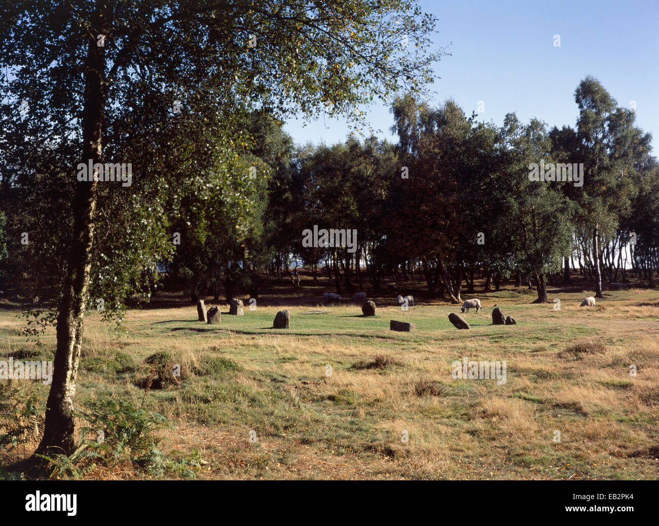 Nine Ladies Stone Circle, early Bronze Age stone circle, Derbyshire, UK ...