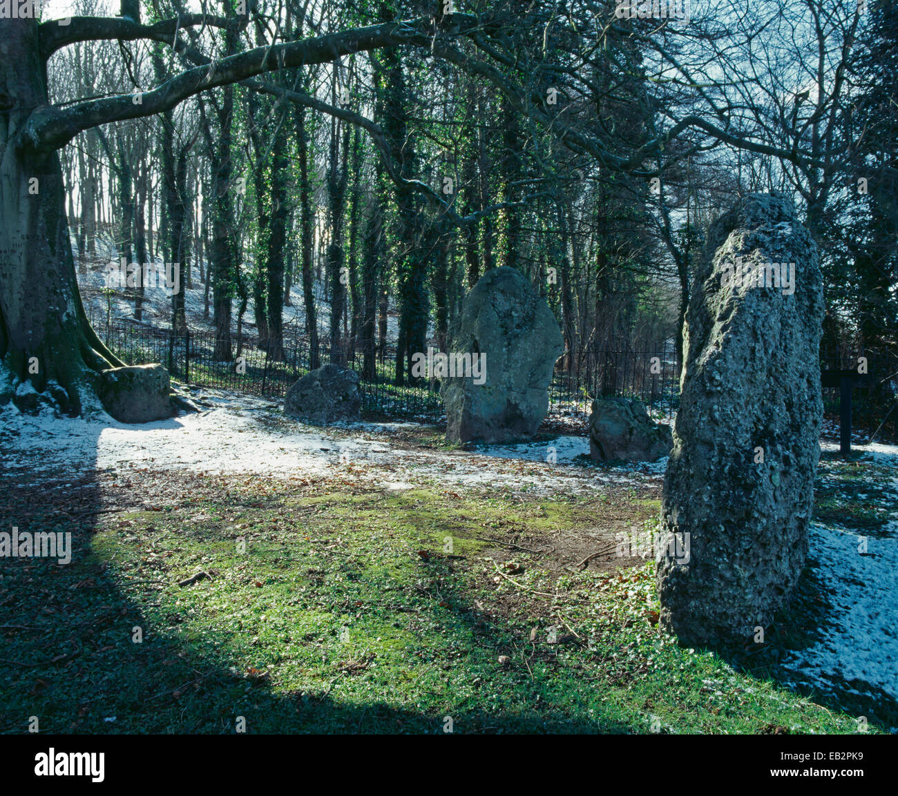 View of part of the stone circle, nine stones, Winterbourne Abbas ...