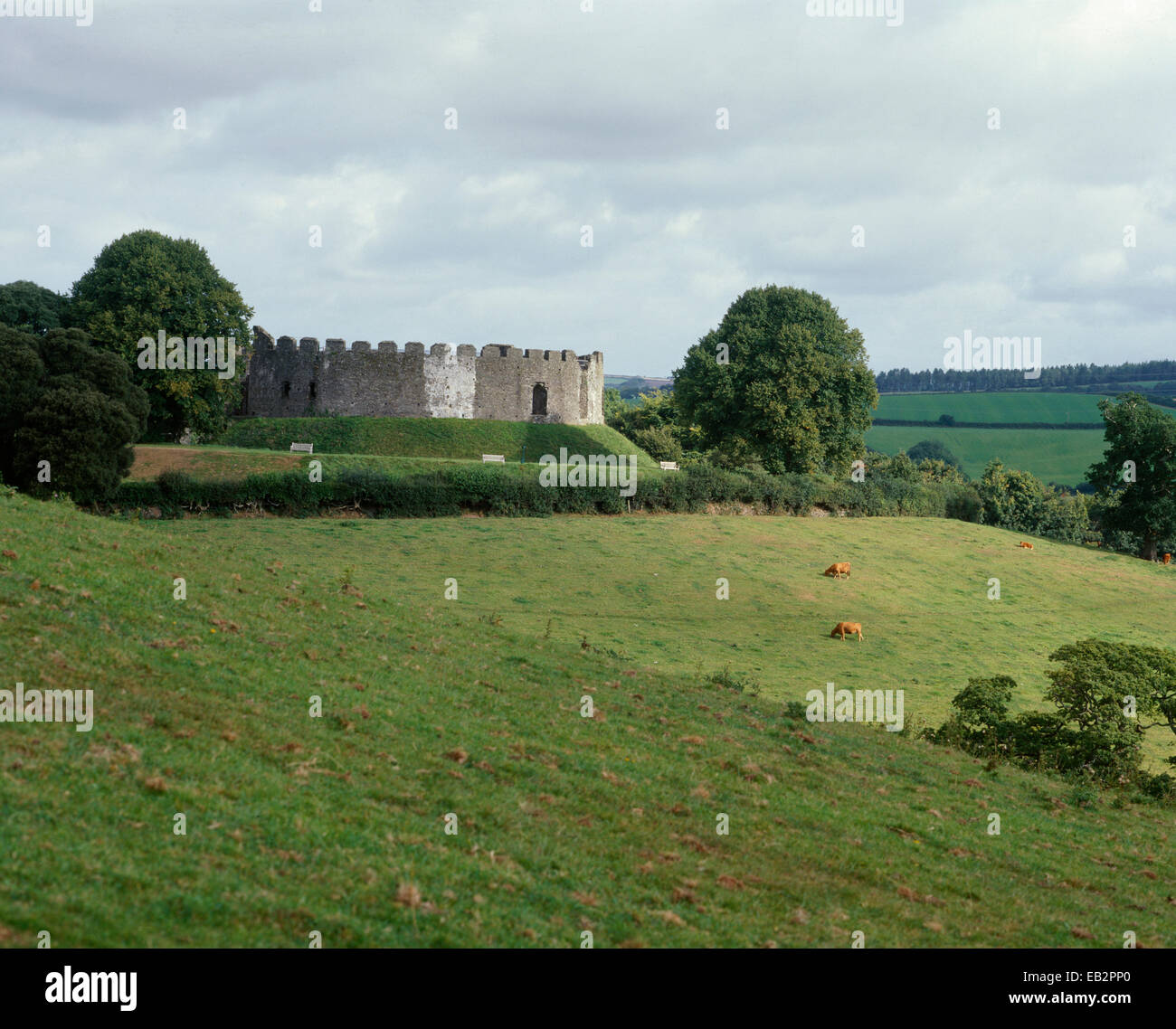 Restormel castle hi-res stock photography and images - Alamy