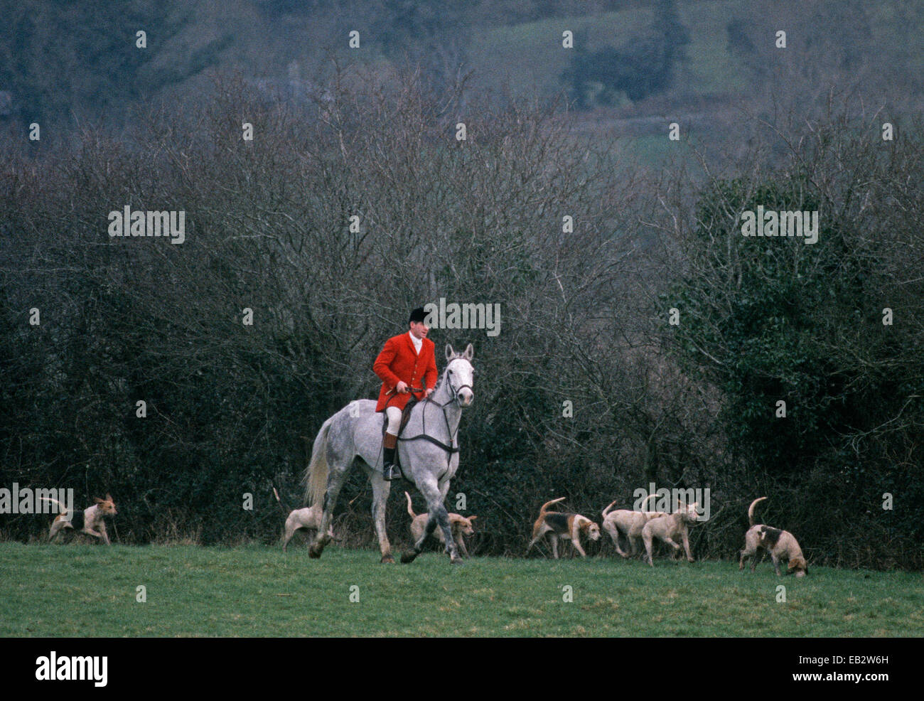 Master of the hounds hi-res stock photography and images - Alamy