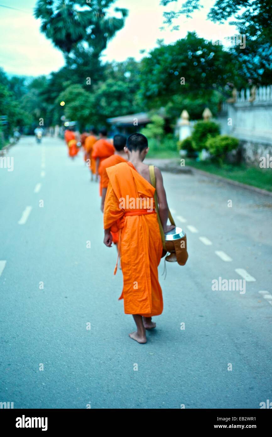 Early morning alms giving to the monks in Luang Prabang, known as ...