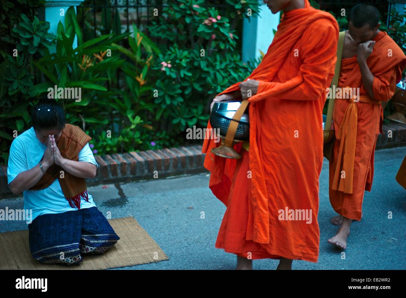 Early morning alms giving to the monks in Luang Prabang, known as ...