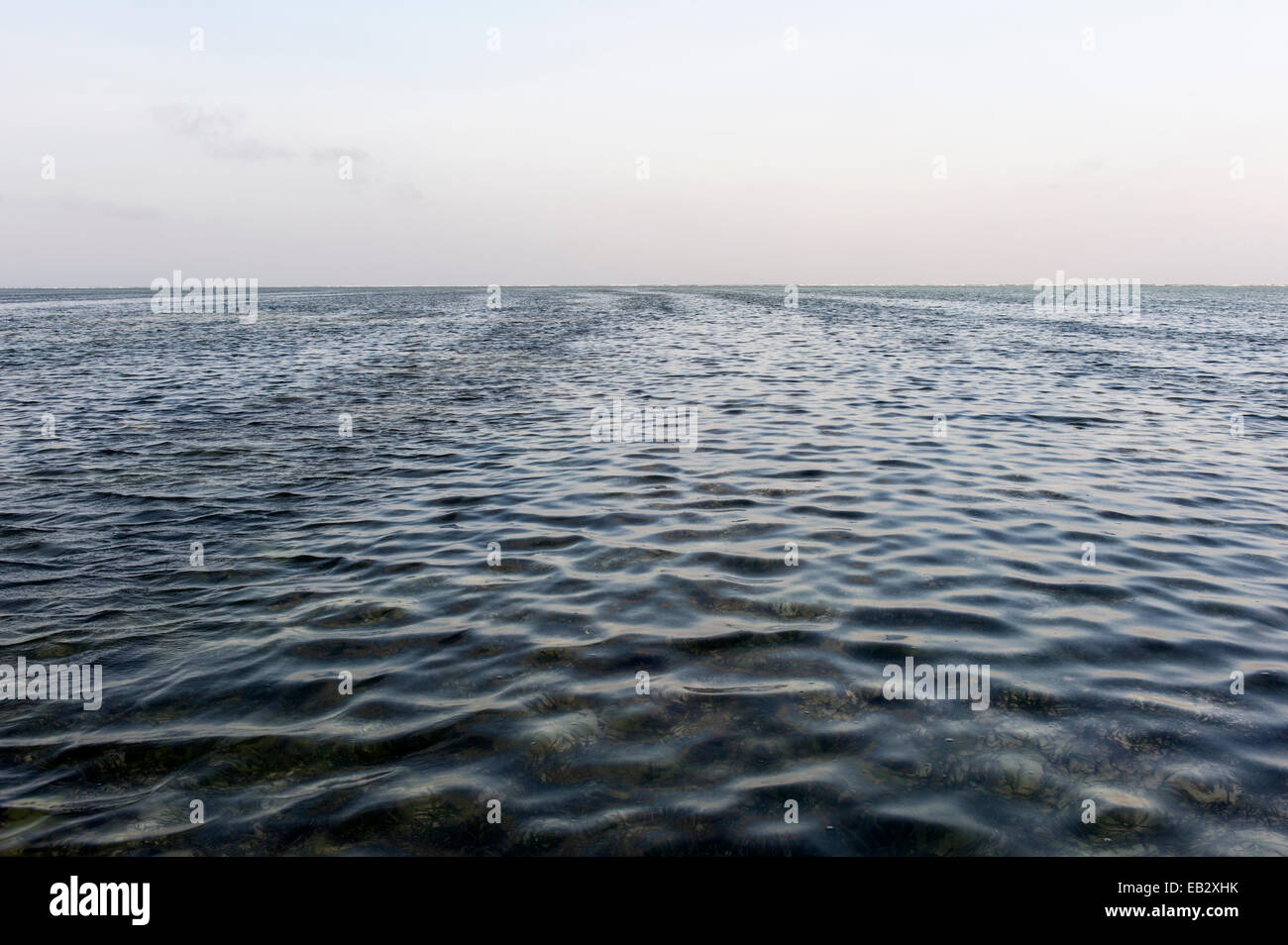 Wind ripples on the surface of the Indian Ocean in the sunset afterglow ...