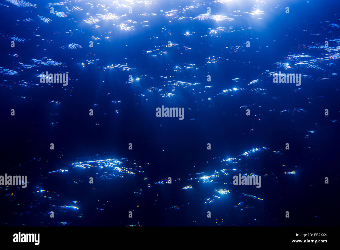 Dappled sun rays pierce the blue surface of the Indian Ocean into the ...