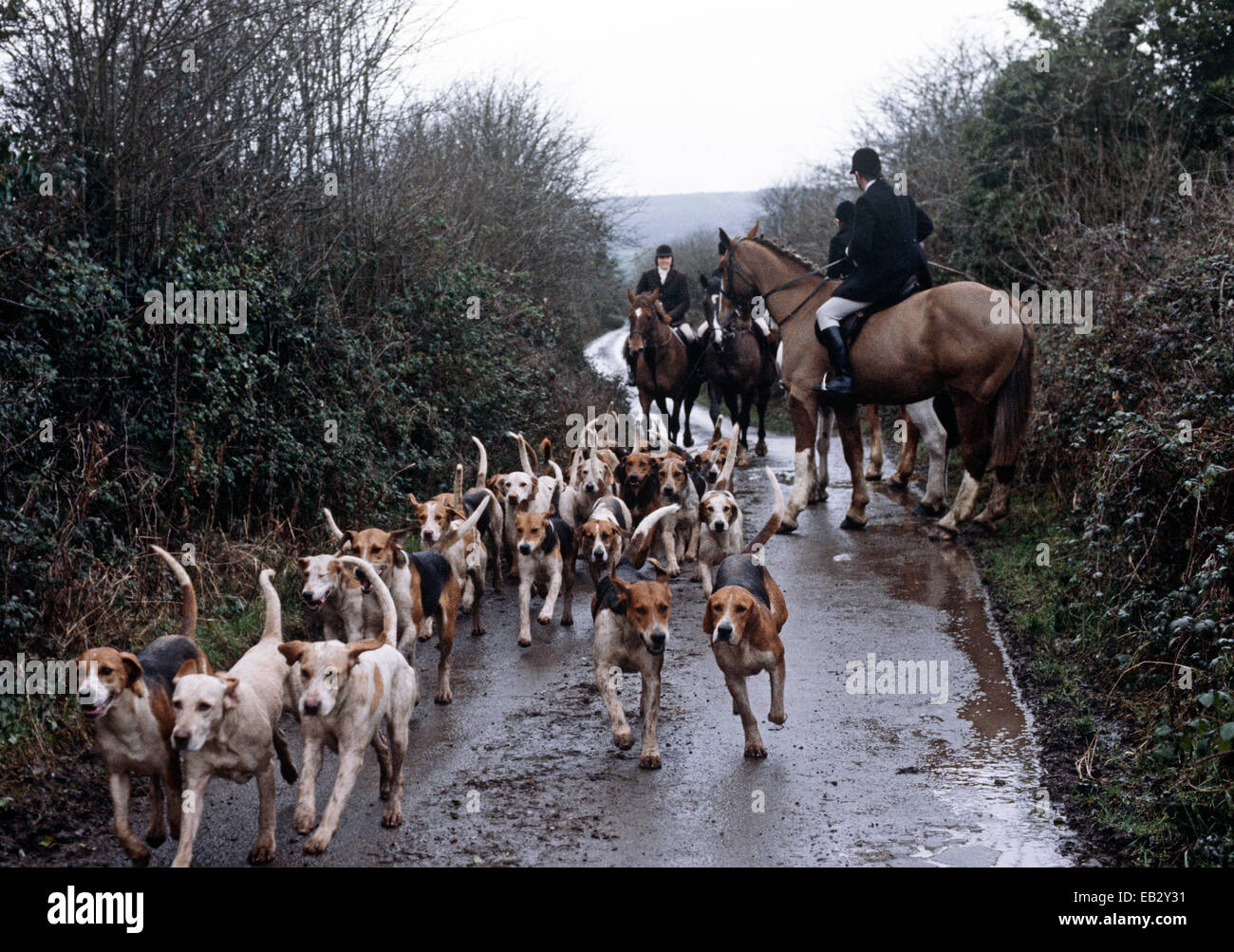 Kilkenny hunt hi-res stock photography and images - Alamy