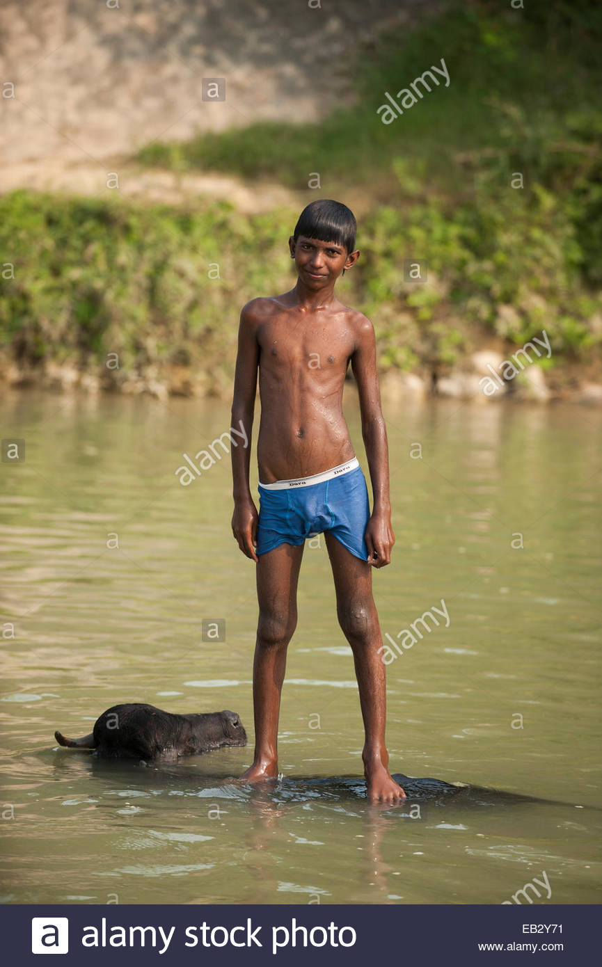 Boy On Water Buffalo Stock Photos Boy On Water Buffalo Stock Images