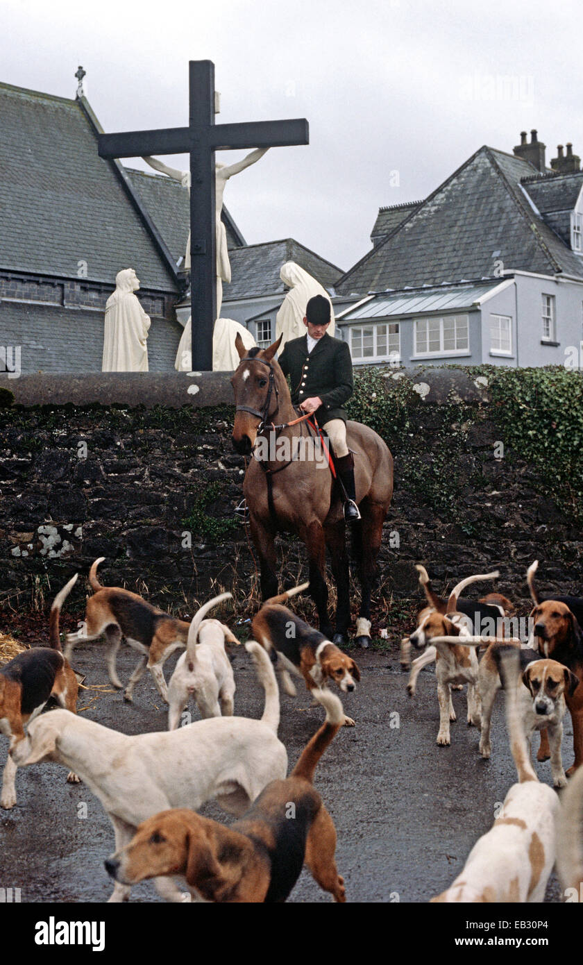 FOX HUNTER WITH HOUNDS IN COUNTY KILKENNY HUNT, IRELAND Stock Photo - Alamy