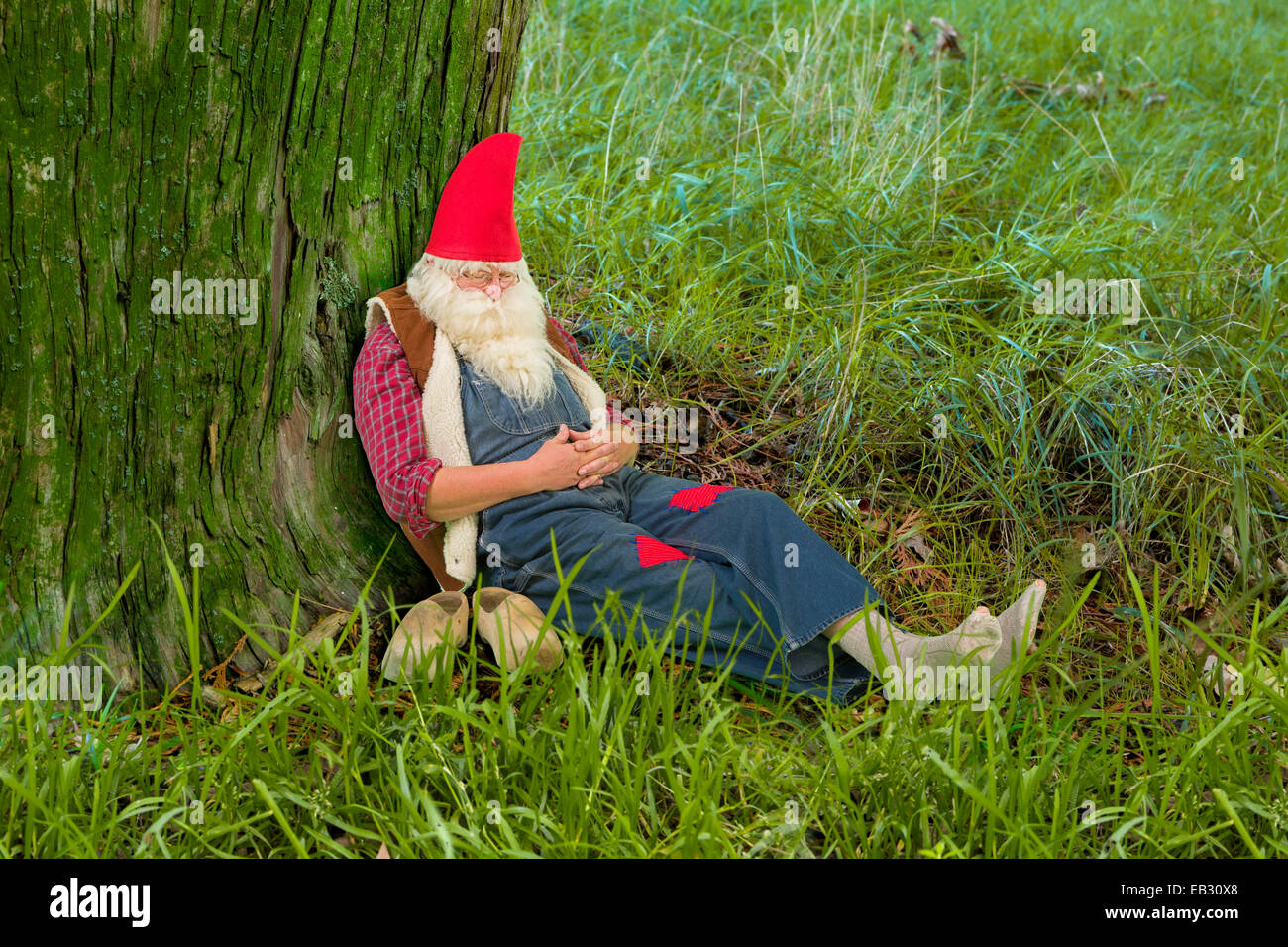 Funny gnome sleeping under a tree in the forest Stock Photo - Alamy