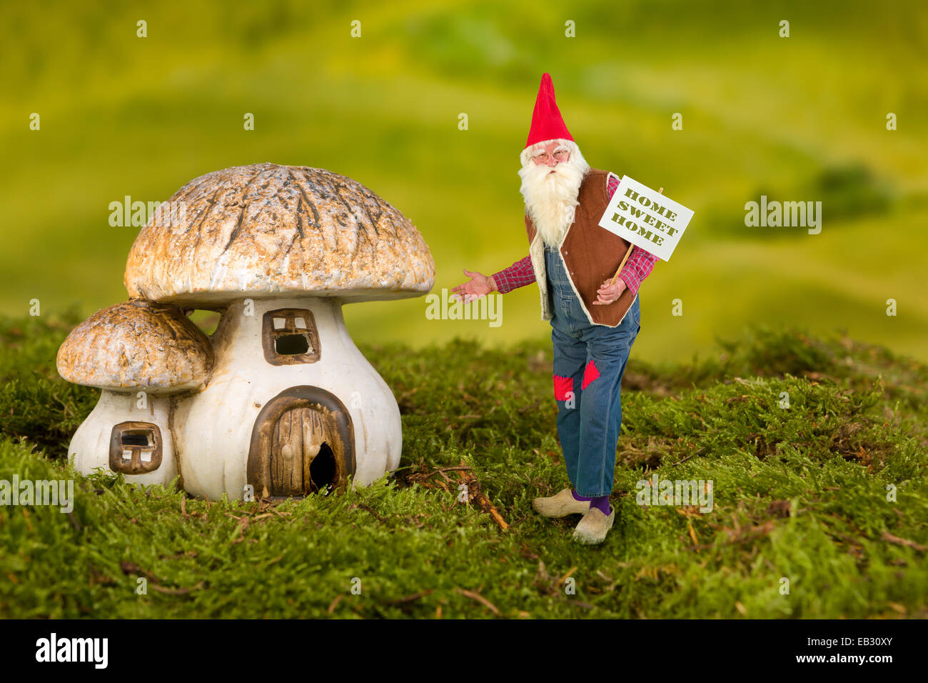 Real life garden gnome pointing at his toadstool house Stock Photo - Alamy