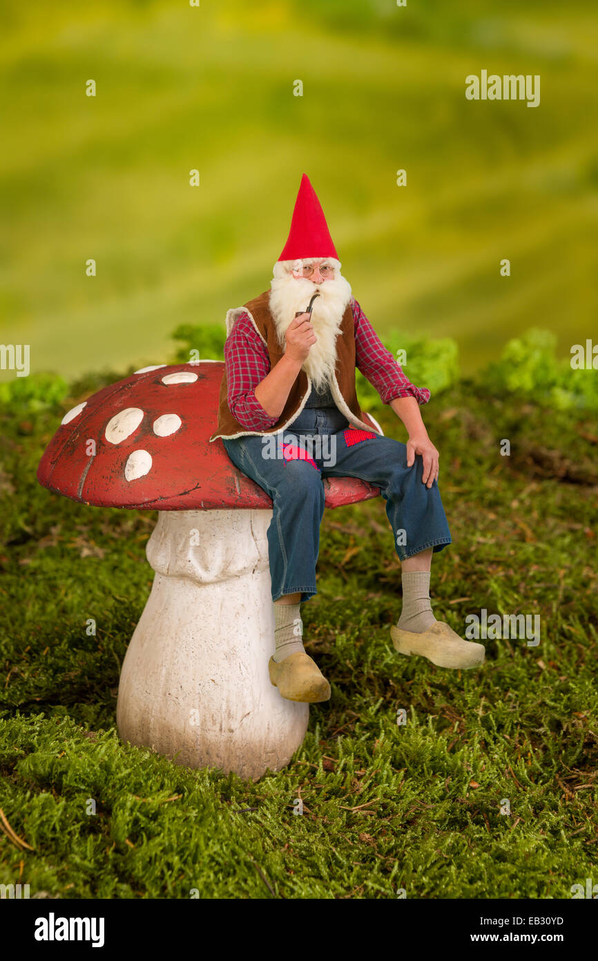 Little fairy sitting on mushroom hi-res stock photography and images ...
