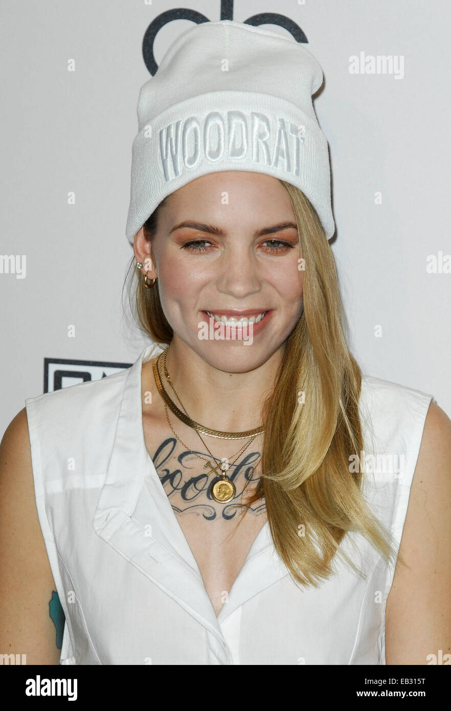 Los Angeles, USA. 23rd Nov, 2014. Skylar Grey American Music Awards ...