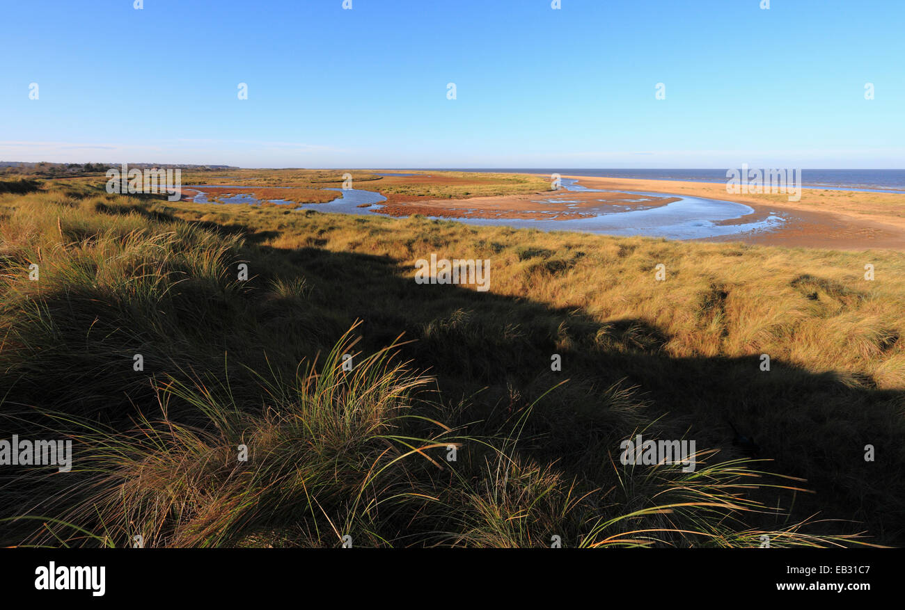 Holme dunes national nature reserve hi-res stock photography and images ...