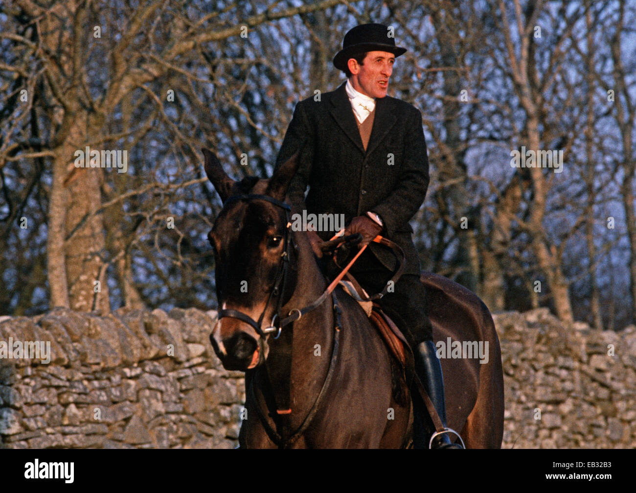 Fox hunt of ireland hi-res stock photography and images - Alamy