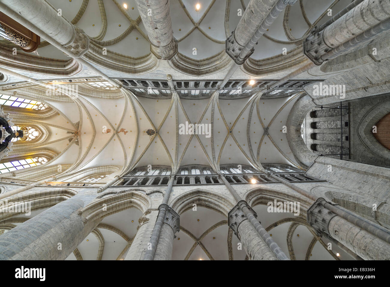 Interior, ceiling with rib vault in the nave, St. Nicholas' Church or ...