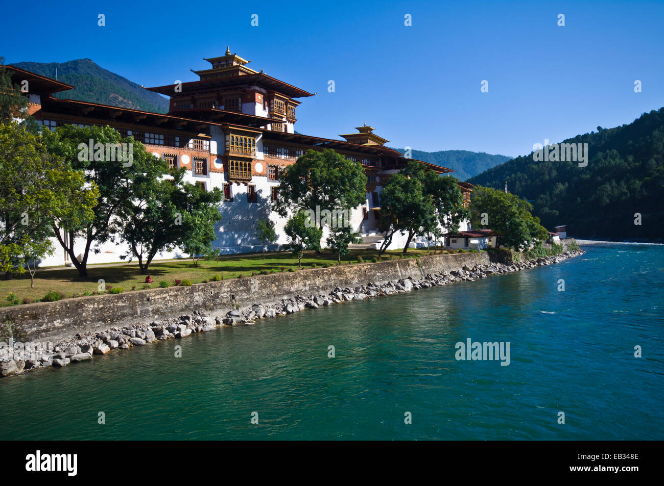 A massive Buddhist monastery shaded by Jacaranda trees on the shore of ...