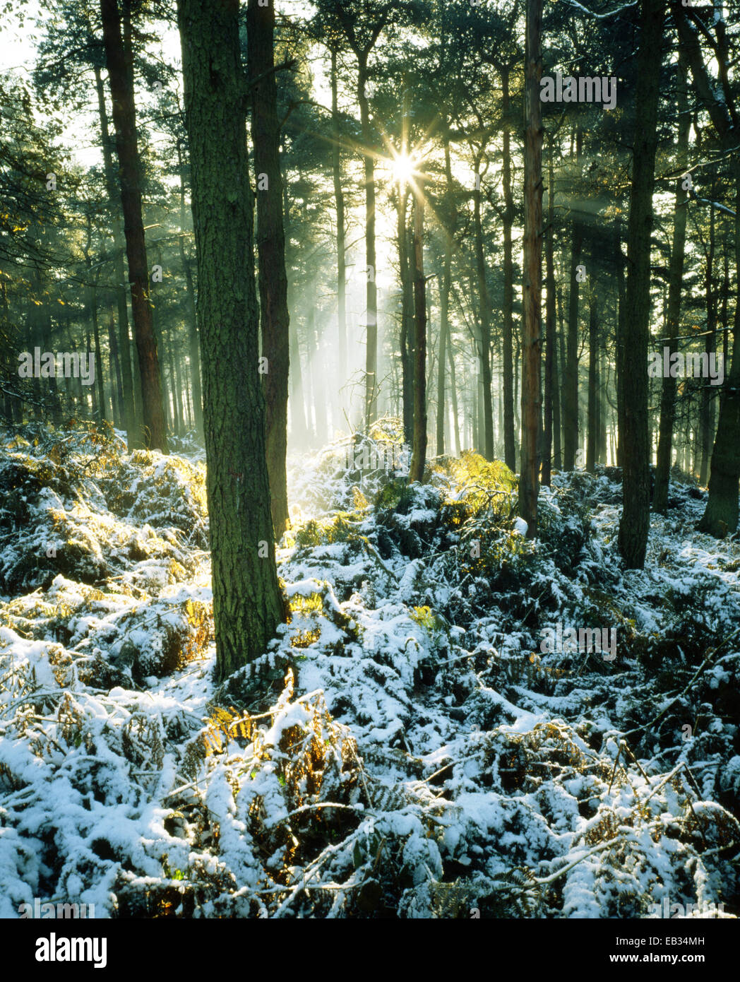 Congleton the cloud hi-res stock photography and images - Alamy