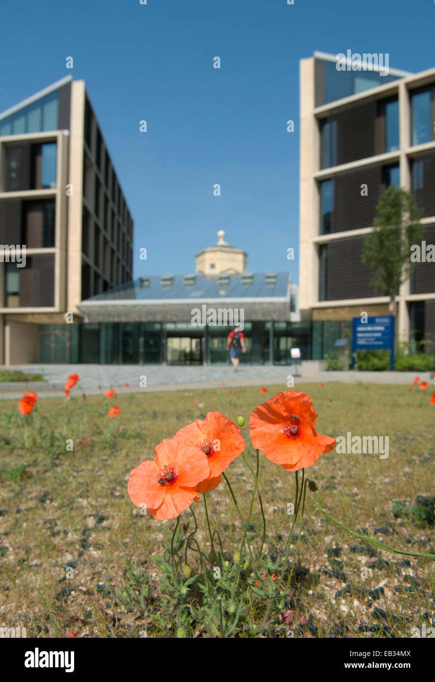 Maths institute oxford hi-res stock photography and images - Alamy
