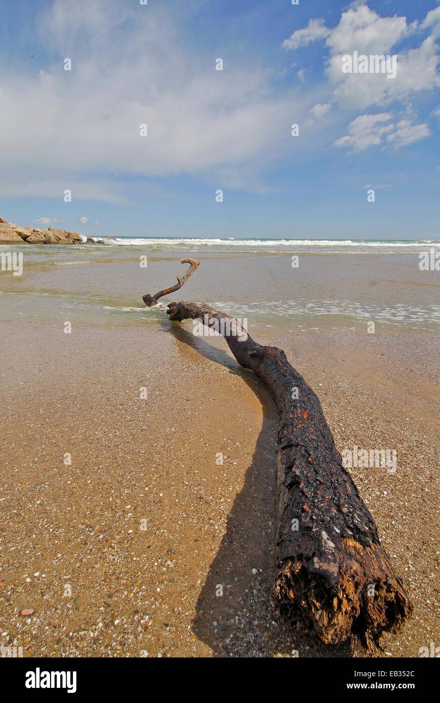 Dunes and beach along Valencia's coastline Stock Photo - Alamy