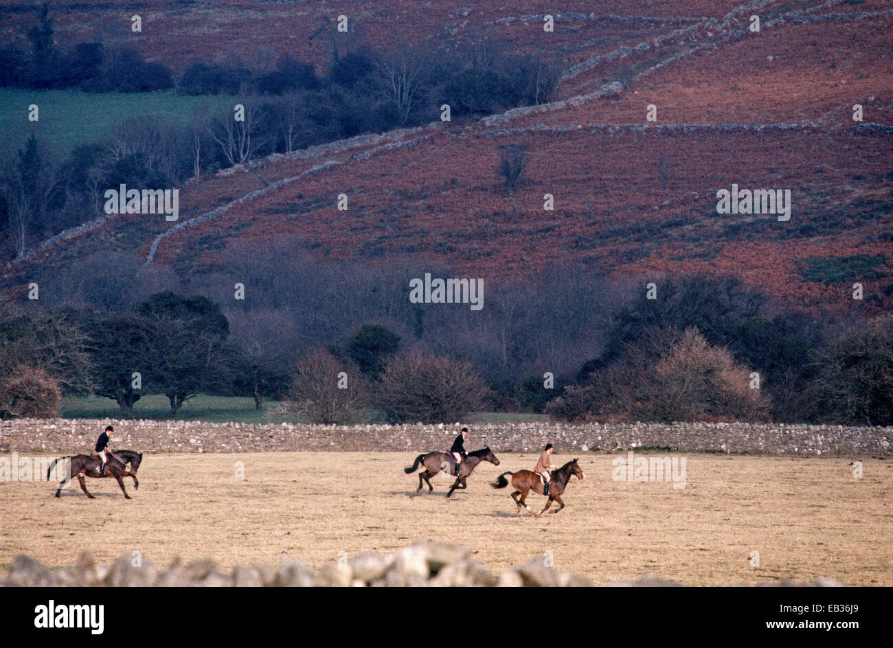 FOX HUNTING IN COUNTY KILKENNY, IRELAND Stock Photo - Alamy