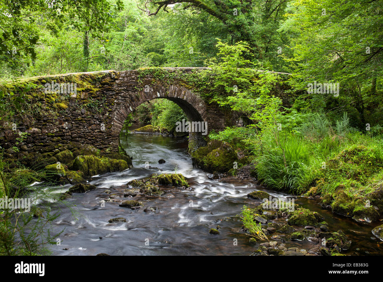 Stone bridge over a stream, near Glengarriff, County Cork, Ireland ...